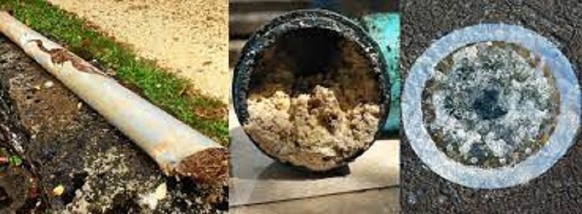 Signs You Need Drain Lining Services - Web Magazine Today