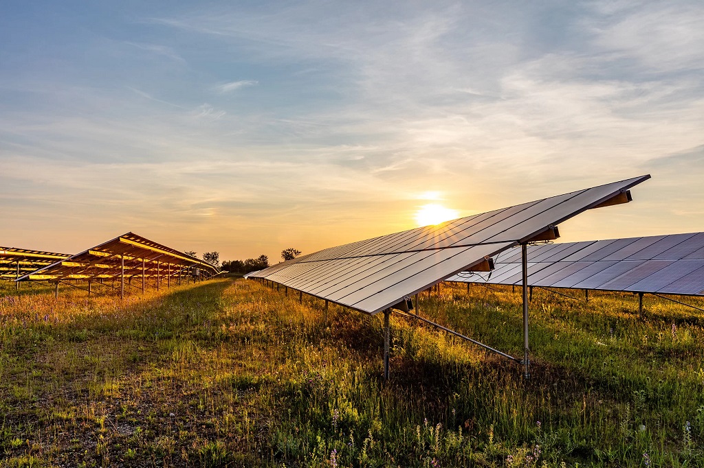 The Automated Site Grading Revolution in Solar Plant Construction - Web ...